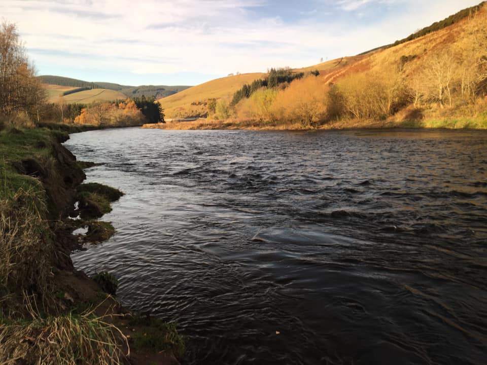 Current Upper Tweed River Levels at Cardrona, Peebles